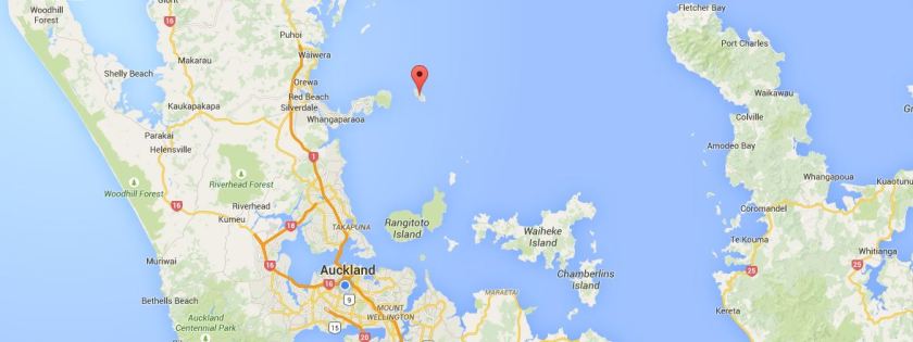 Give the gift of: Tiritiri Matangi | Polly Unsaturated