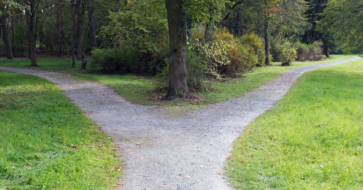Choosing Your Own Path | Polly Unsaturated